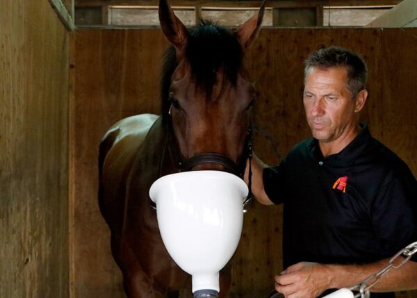 What is Equine Salt Halotherapy? - Equine Salt Systems